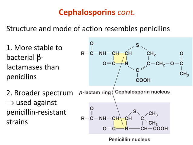 Pharmacology of Antibiotics | PPT | Infectious Diseases | Diseases and ...