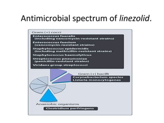Pharmacology of Antibiotics | PPT