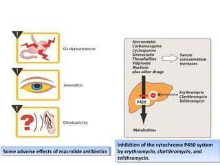 Pharmacology of Antibiotics | PPT