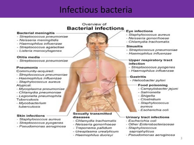 Pharmacology of Antibiotics