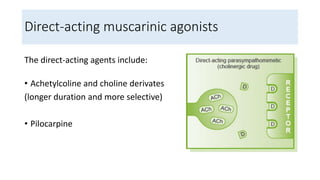 Pharmacology of the Autonomic Nervous System | PPT