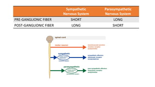 Pharmacology of the Autonomic Nervous System | PPT