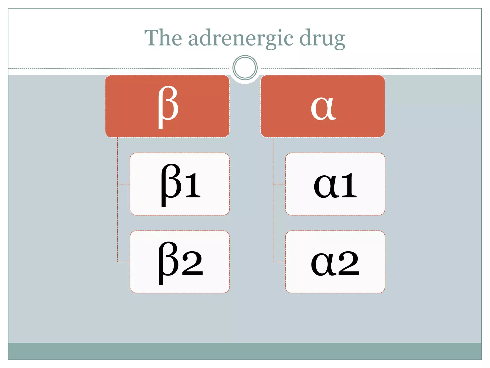 Pharmacology of vasoconstriction drug | PPTX