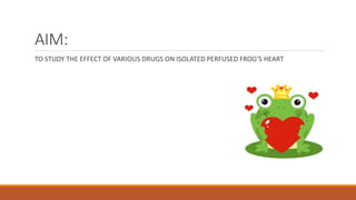 Pharmacology effect of drugs on isolated perfused frog's heart | PPTX