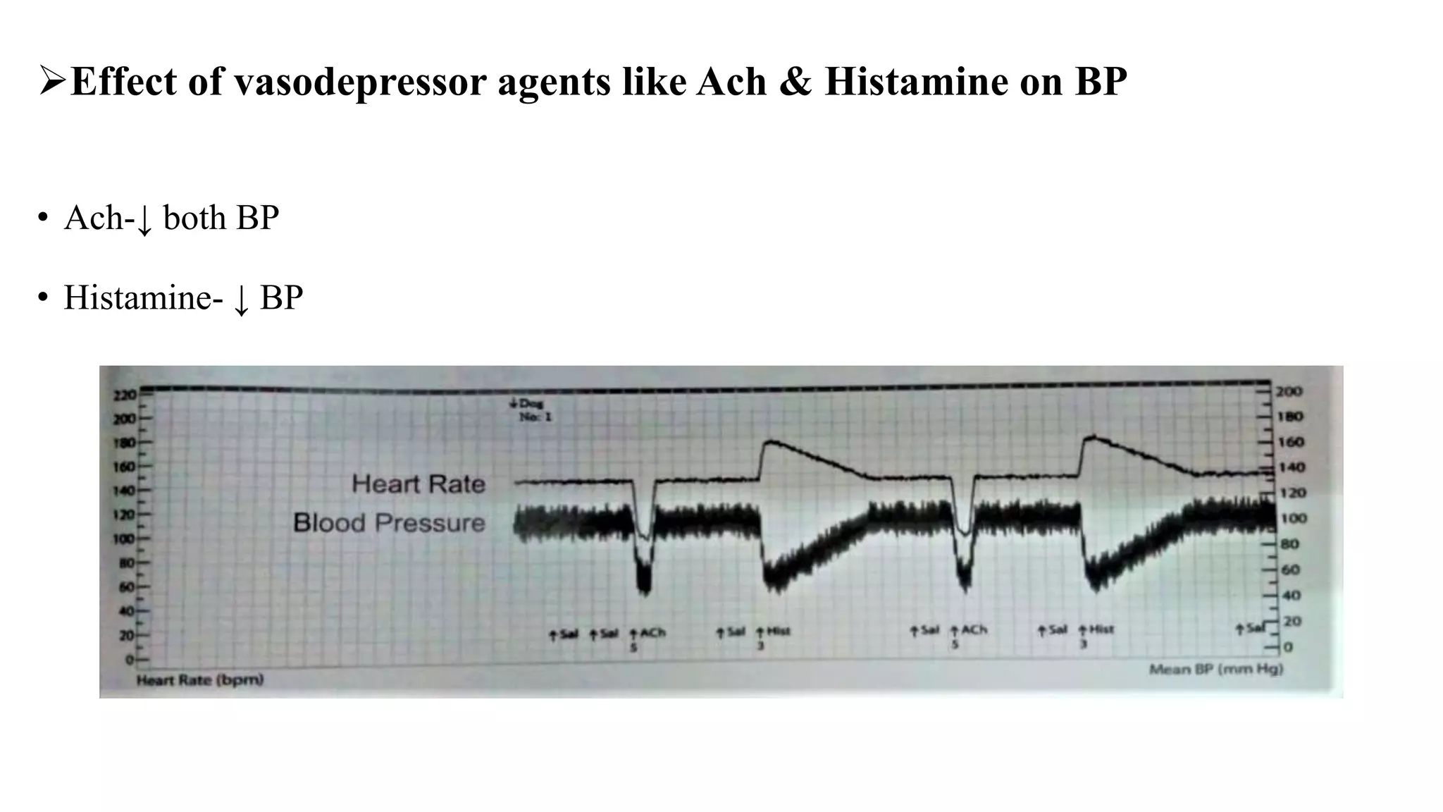 Pharmacology practical Dog BP | PPTX