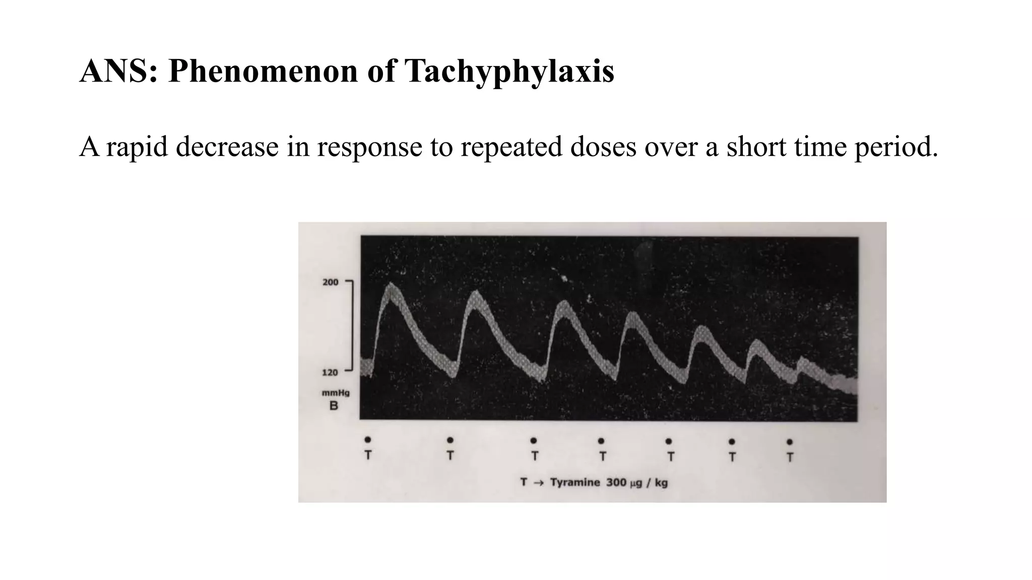 Pharmacology practical Dog BP | PPTX
