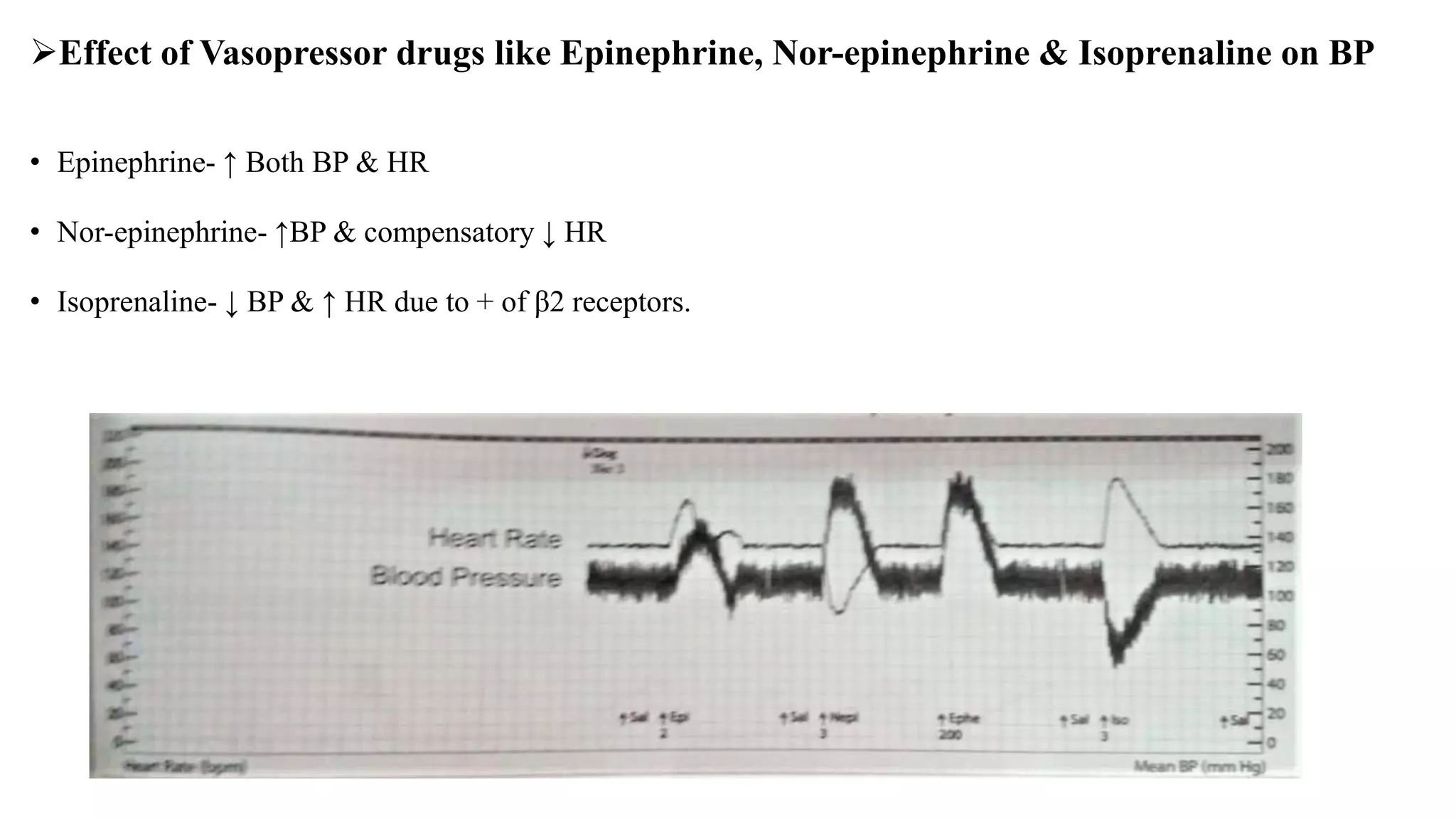 Pharmacology practical Dog BP | PPTX