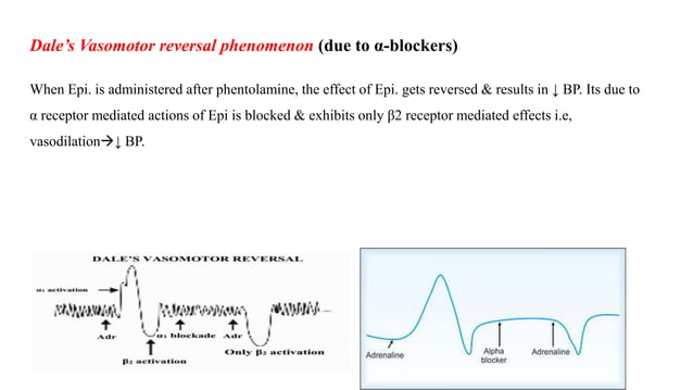 Pharmacology practical Dog BP | PPTX