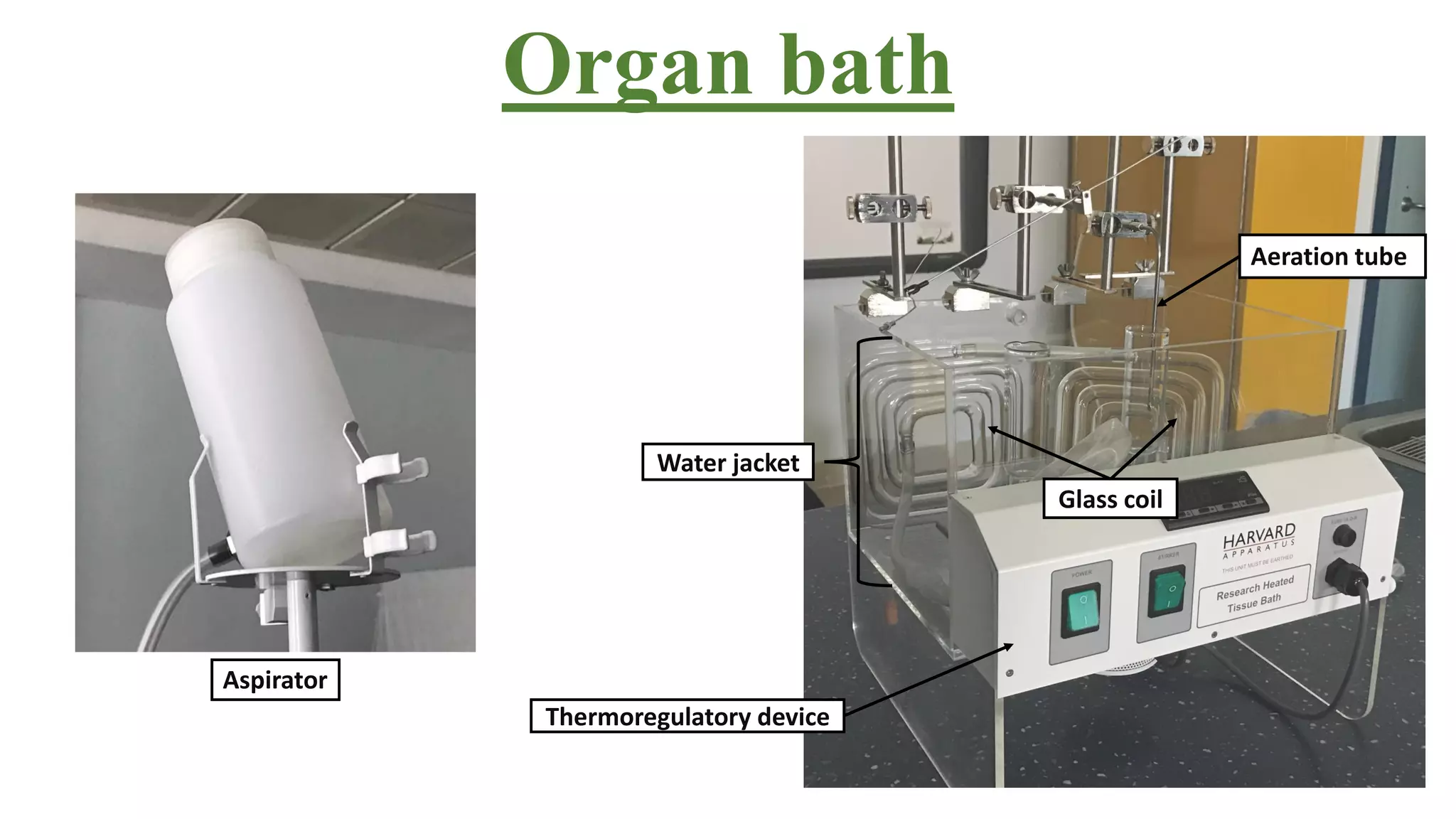Pharmacology practical (effect of cholinergic drugs on isolated rabbit ...