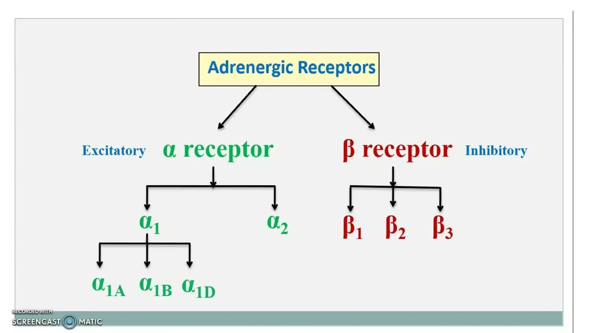 Pharmacology Presentation. AUTONOMIC DRUGS | PPTX