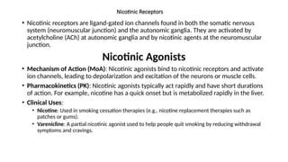 Pharmacology Presentation. AUTONOMIC DRUGS | PPTX