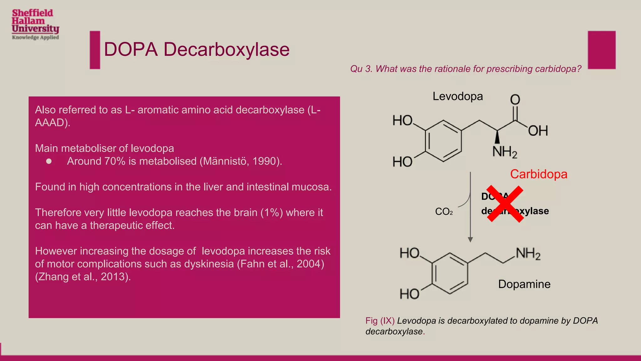 Pharmacology Presentation Slides | PPTX