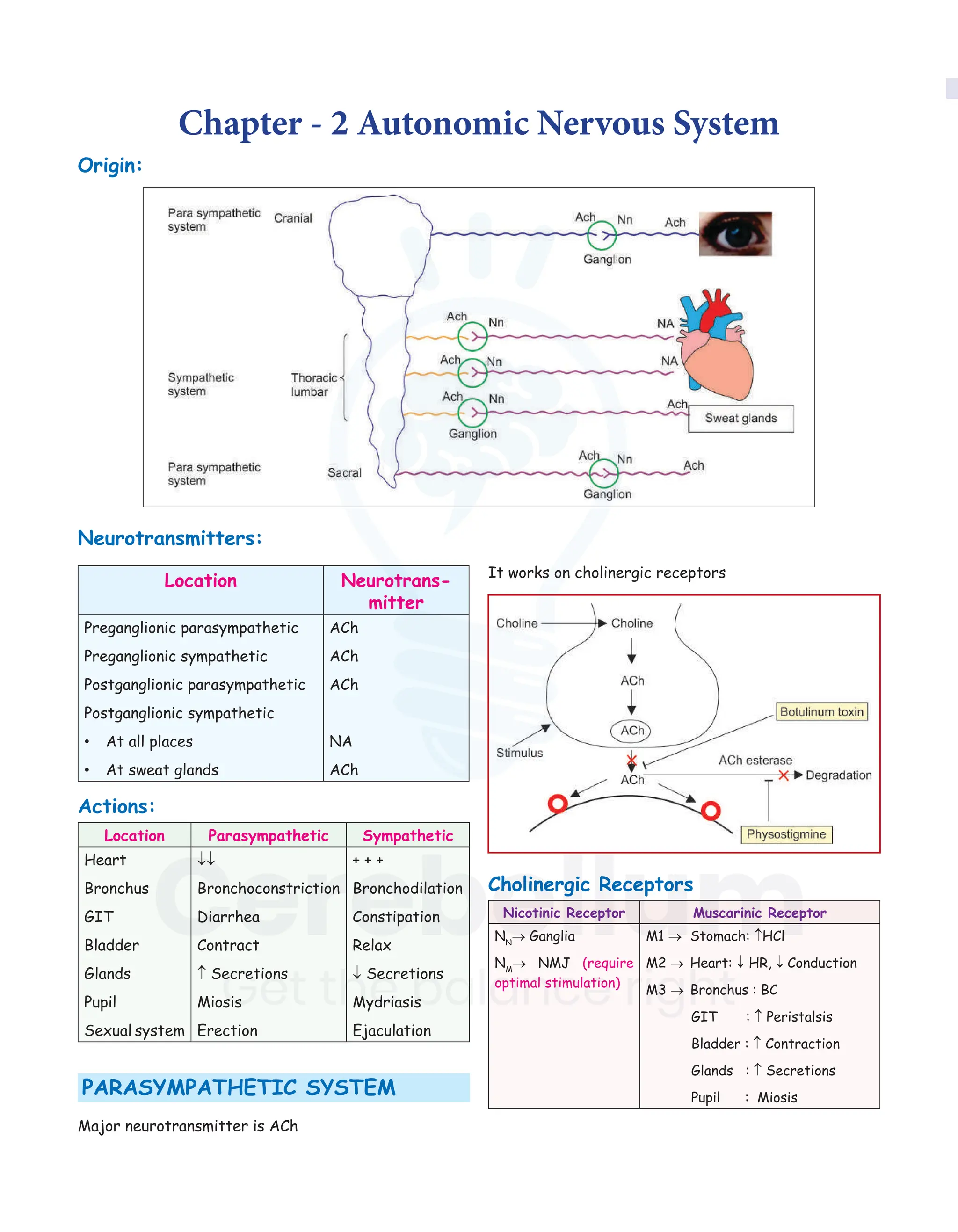 Pharmacology_RR.pdf by Dr Gobind Rai Garg | PDF