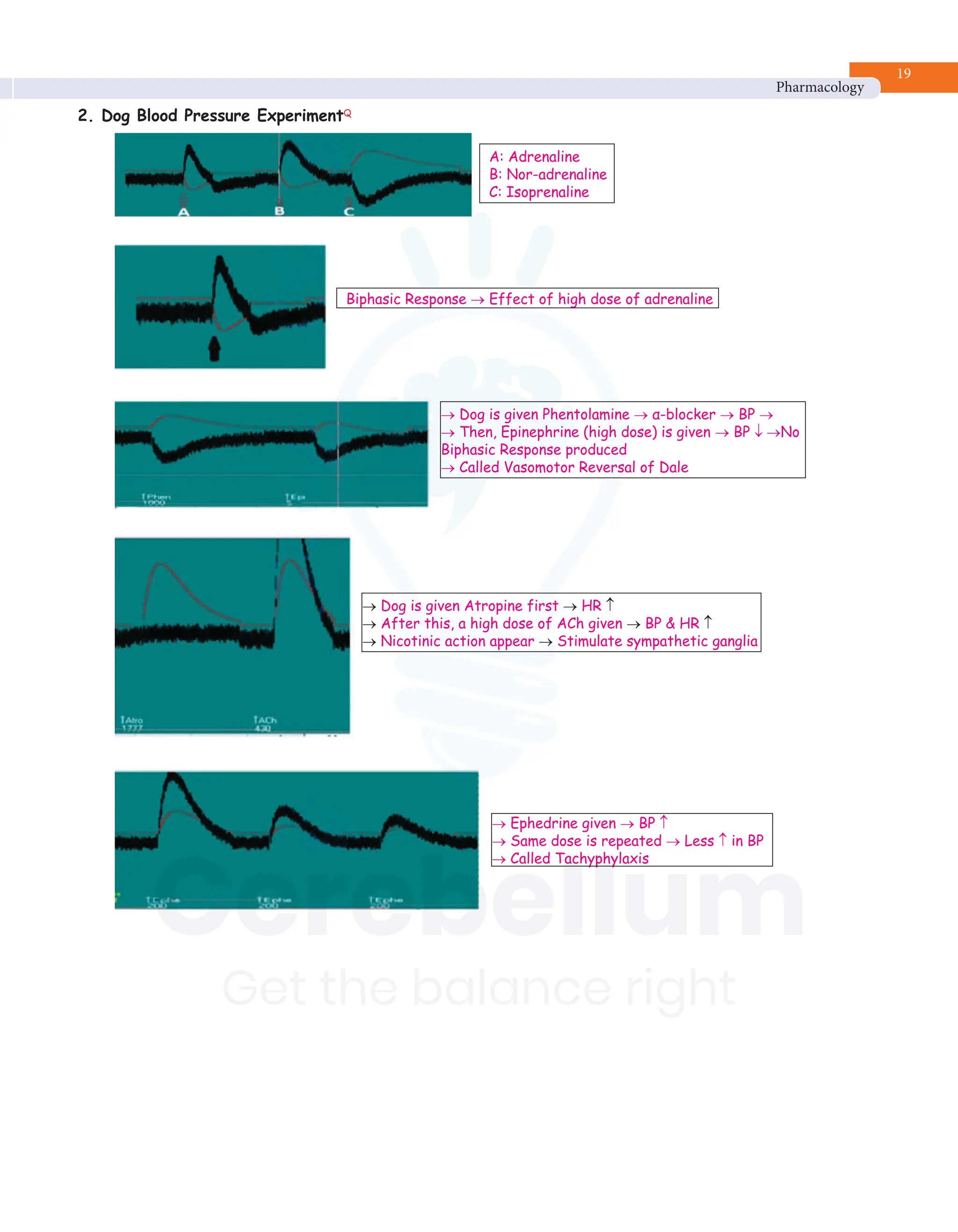 Pharmacology_RR.pdf by Dr Gobind Rai Garg | PDF