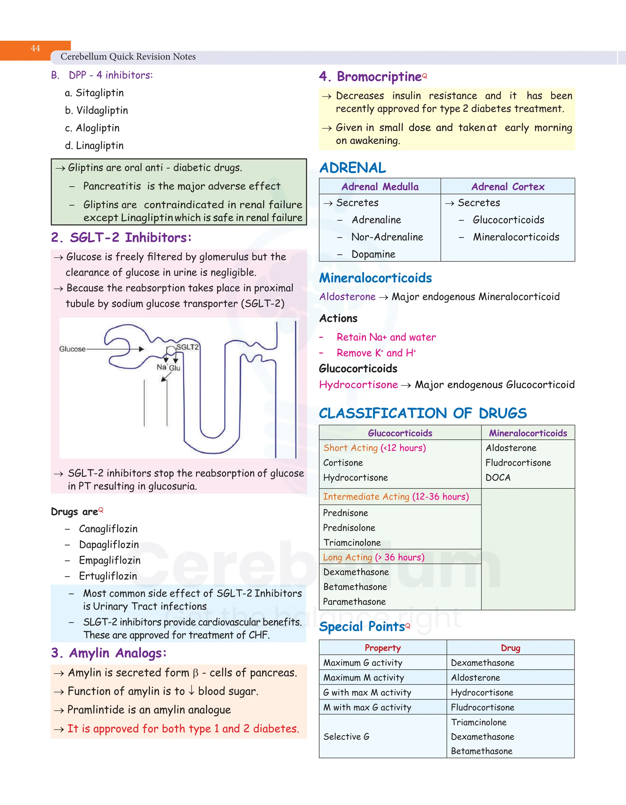 Pharmacology_RR.pdf by Dr Gobind Rai Garg | PDF