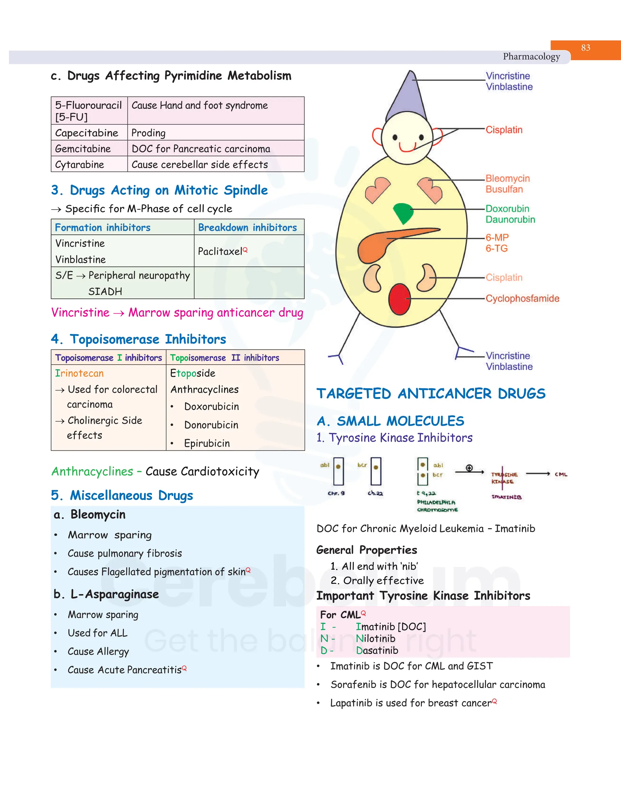 Pharmacology_RR.pdf by Dr Gobind Rai Garg | PDF