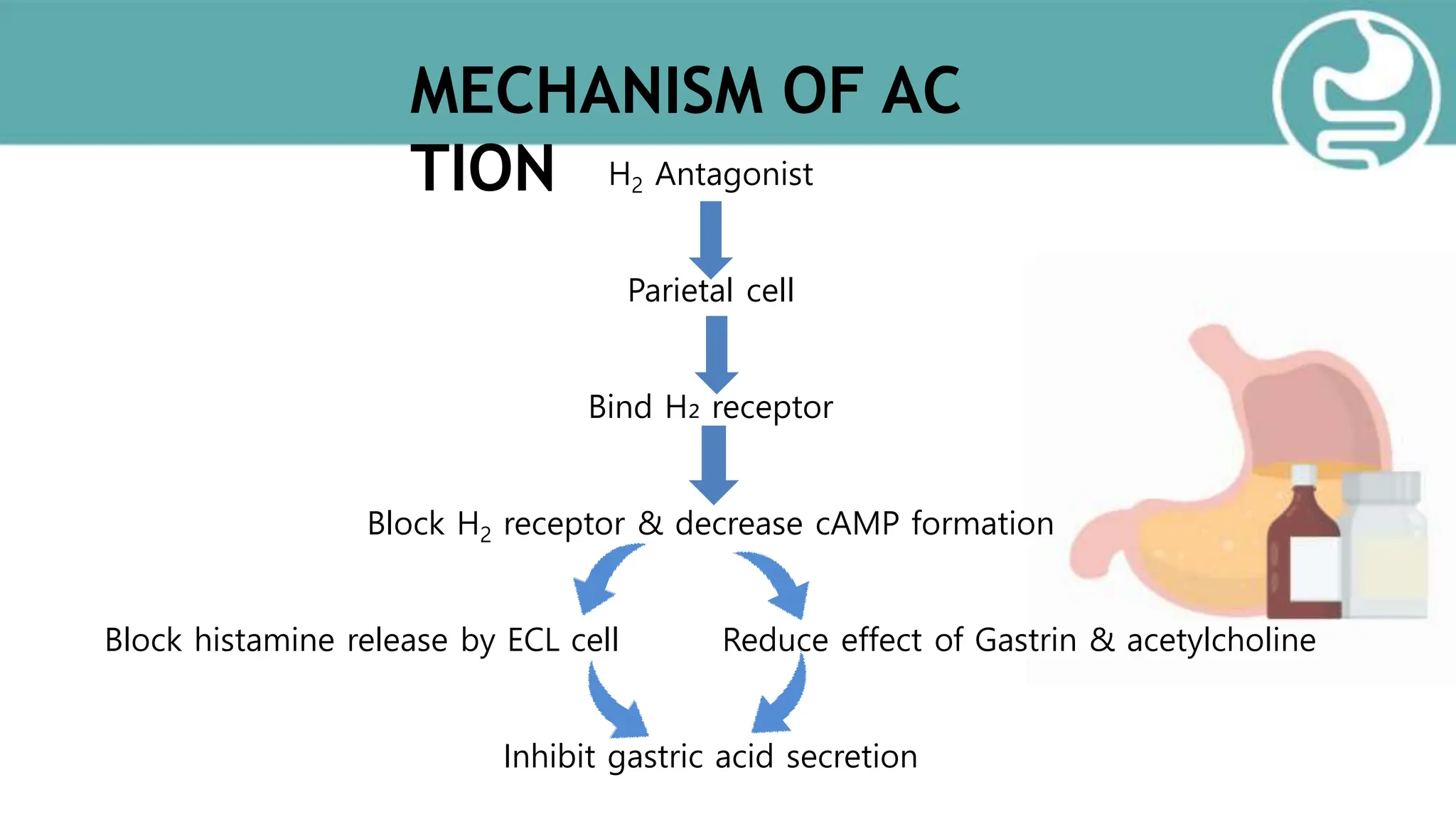 Pharmacology H2 antagonist psp Amrita.pptx | Digestive Disorders ...