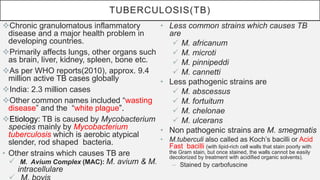 Pharmacology of Anti- Tubercular Drugs | PPTX