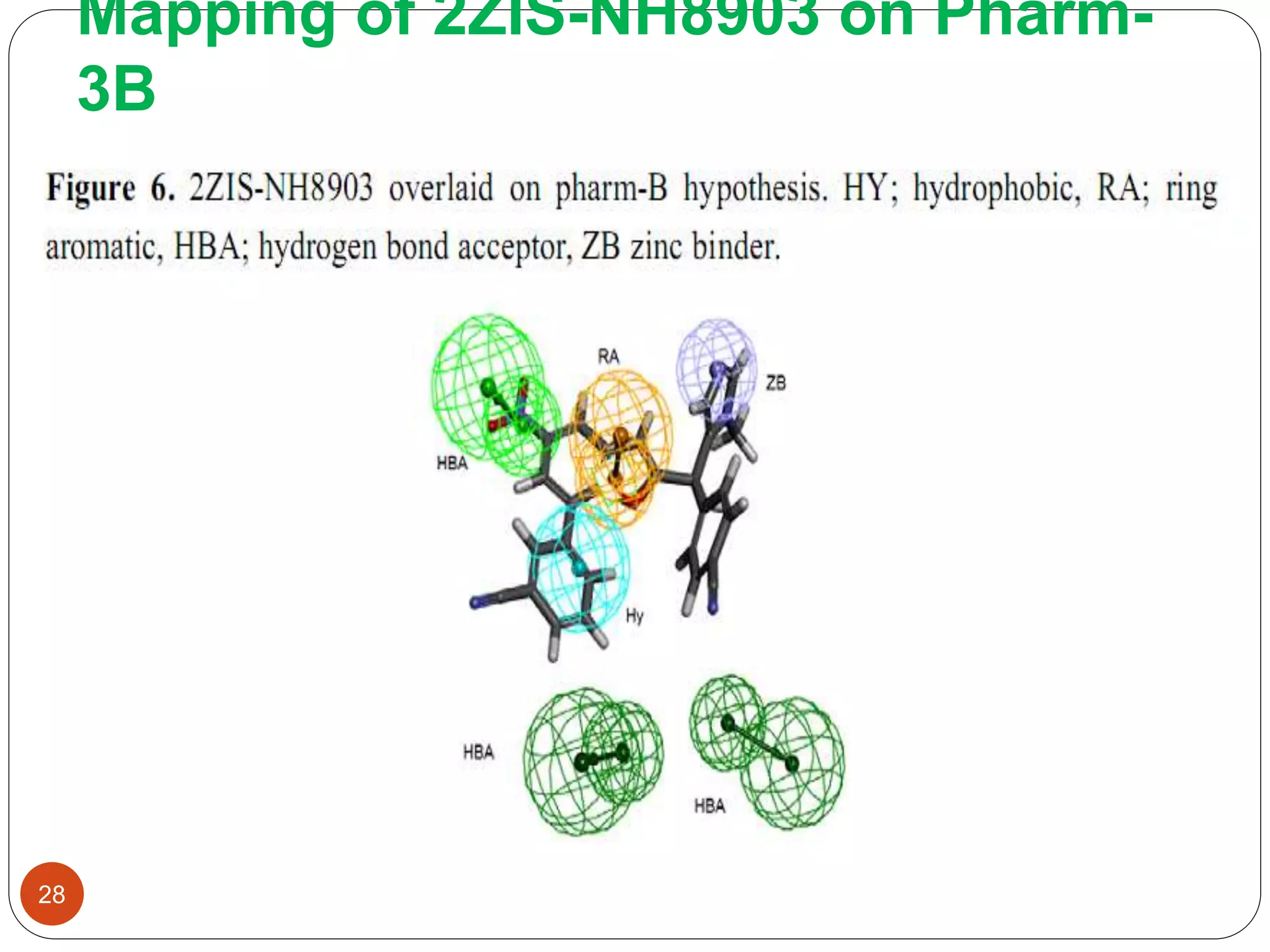 Pharmacophore mapping in Drug Development | PPTX