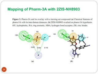 Pharmacophore mapping in Drug Development | PPTX