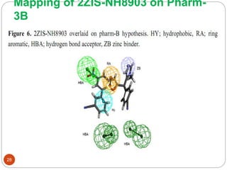 Pharmacophore mapping in Drug Development | PPTX