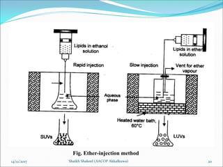 Pharmacosomes. | PPT