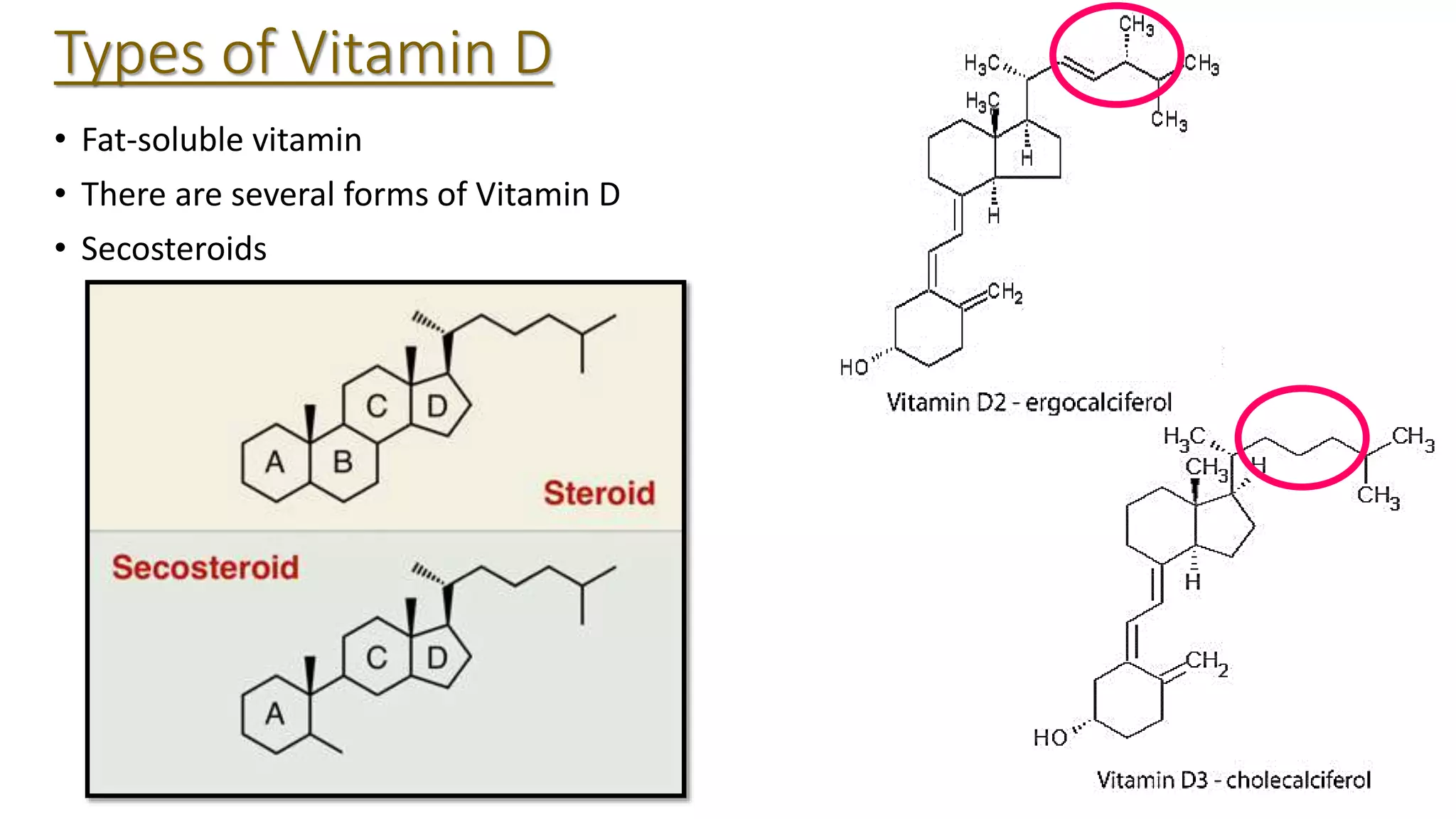 Pharmacotherapeutics of Vitamin D | PPTX