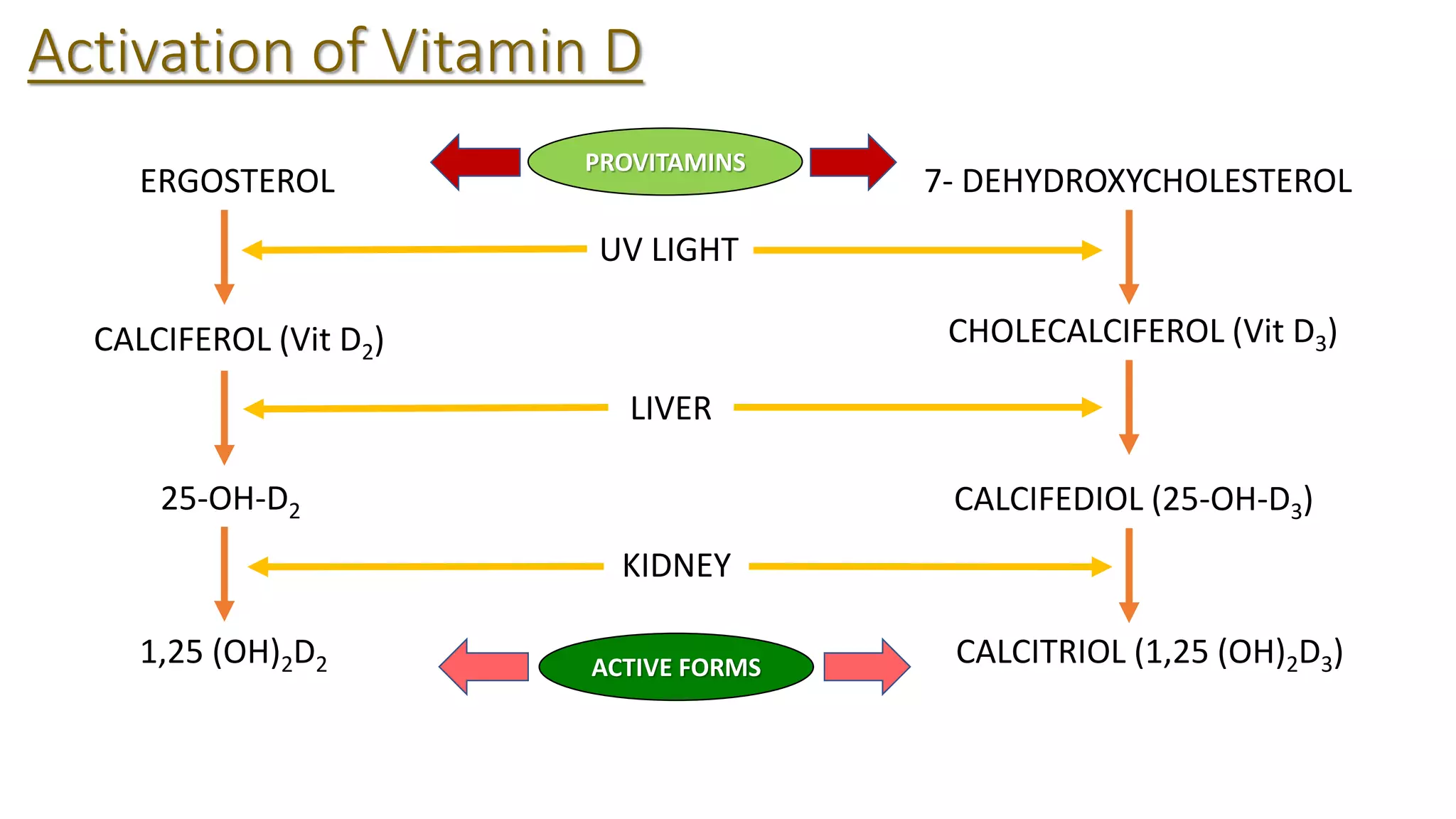 Pharmacotherapeutics of Vitamin D | PPTX