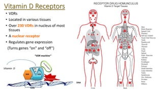 Pharmacotherapeutics of Vitamin D | PPTX