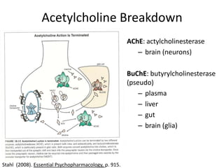 Pharmacotherapies for neurodegenerative disorders | PPT