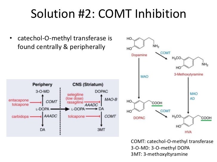 Pharmacotherapies for parkinsons disease