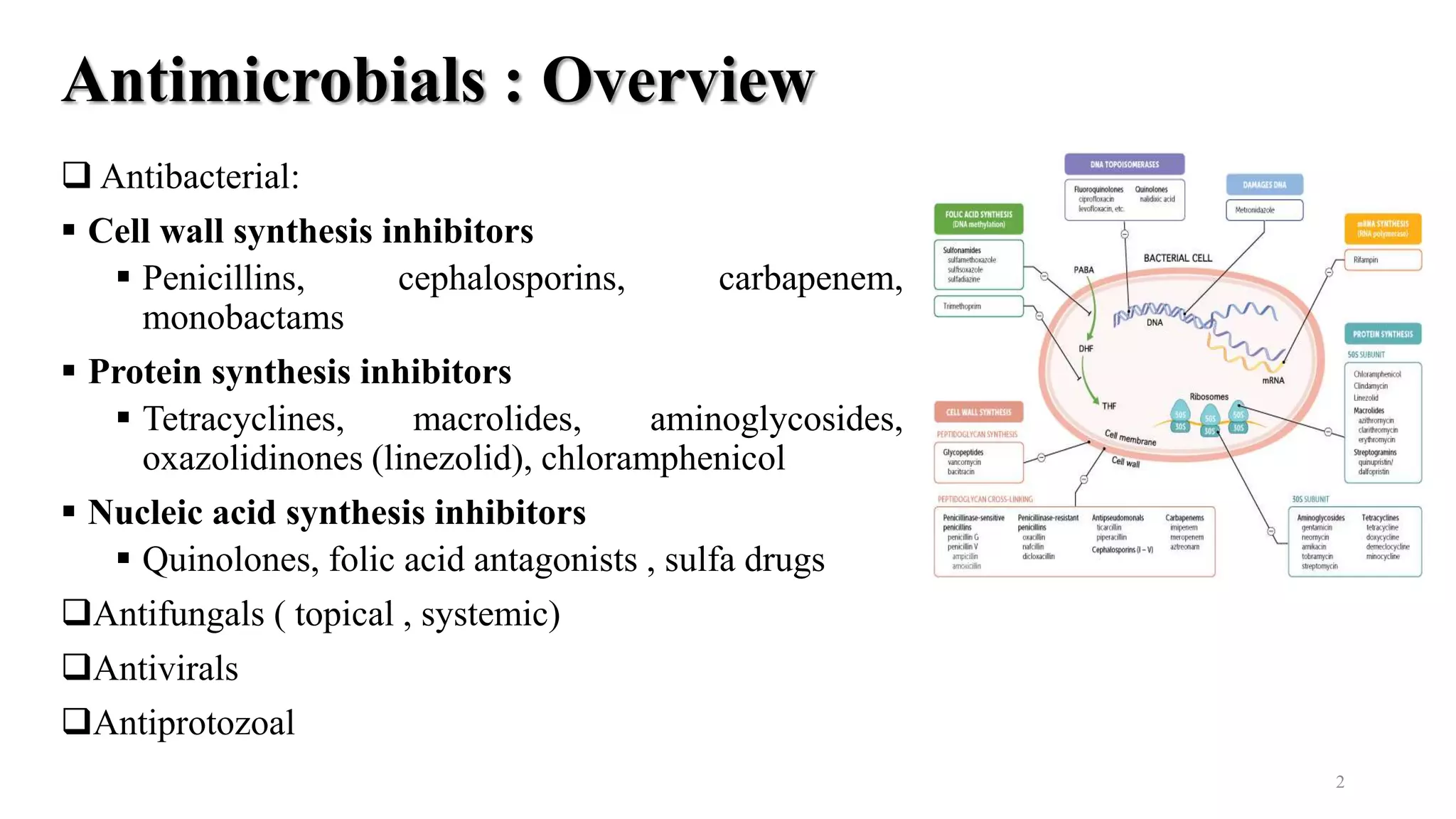 Pharmacotherapy in ent 1 | PPTX