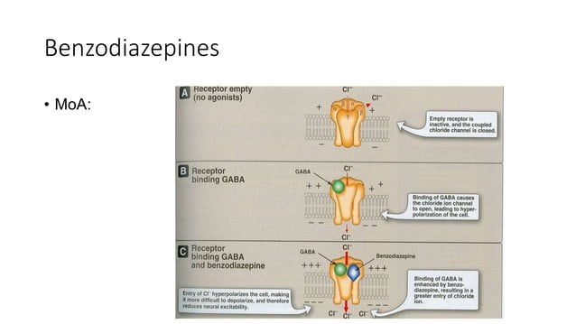 Pharmacotherapy of anxiety disorder | PPTX