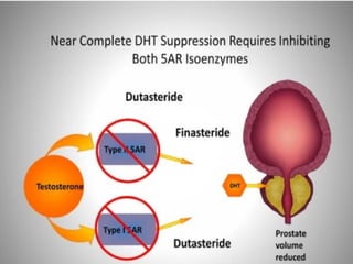 Pharmacotherapy of Benign Prostatic Hyperplasia drug interaction ...
