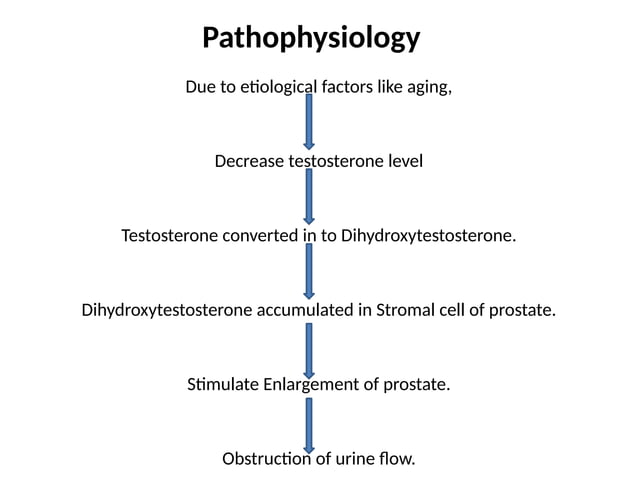 Pharmacotherapy of Benign Prostatic Hyperplasia drug interaction ...