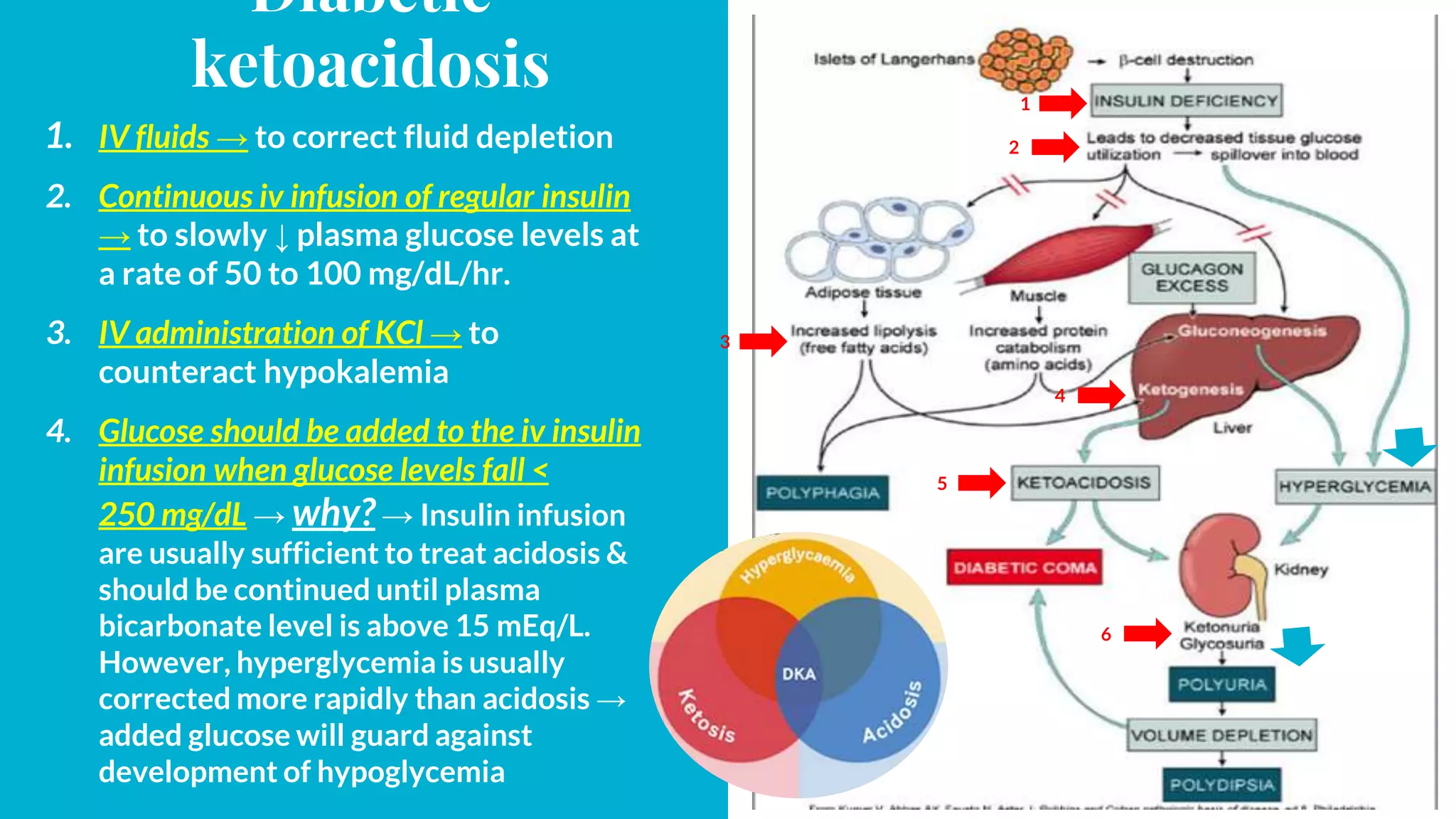 Pharmacotherapy of diabetes mellitus (DM) | PPTX