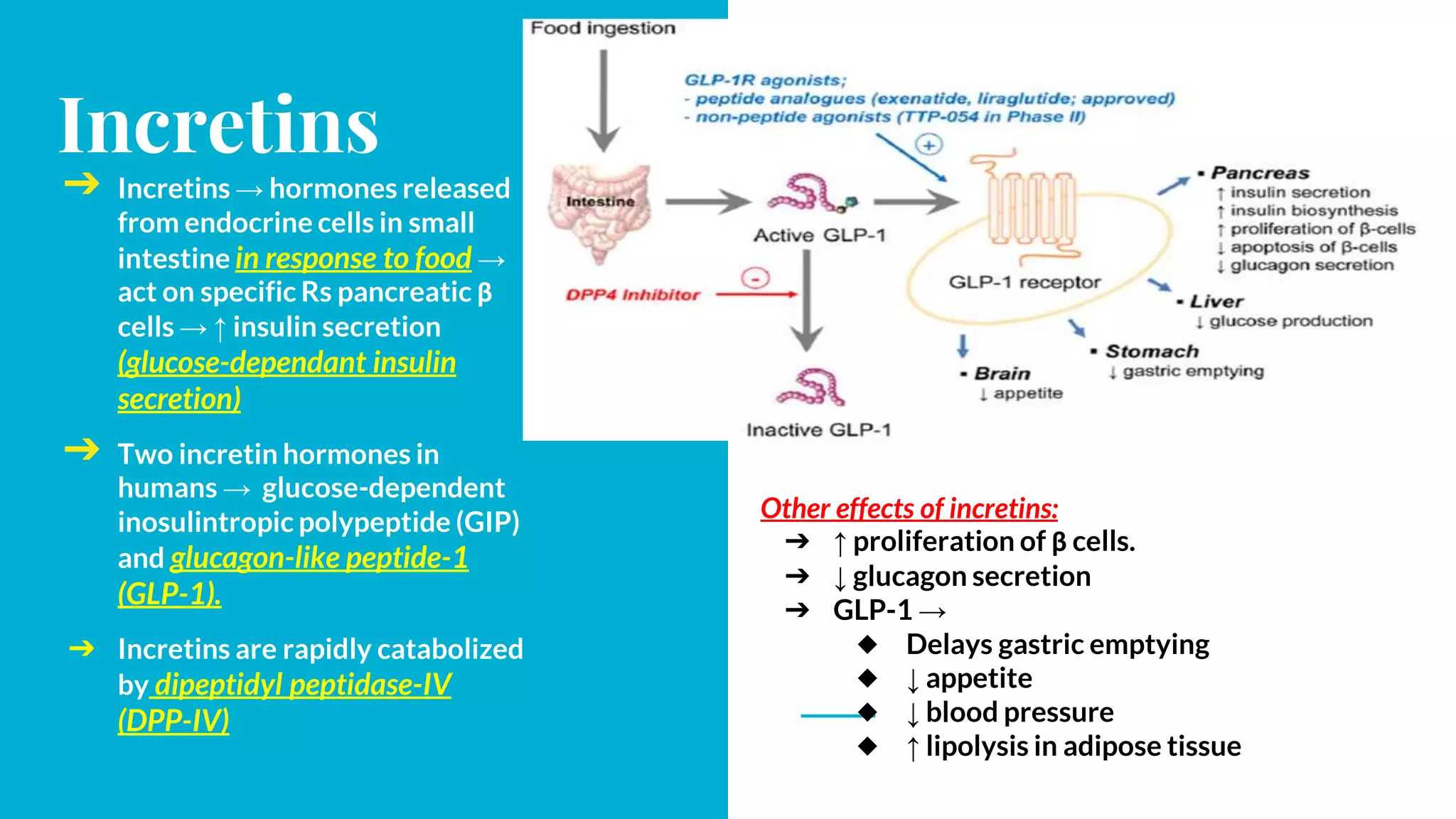 Pharmacotherapy of diabetes mellitus (DM) | PPTX