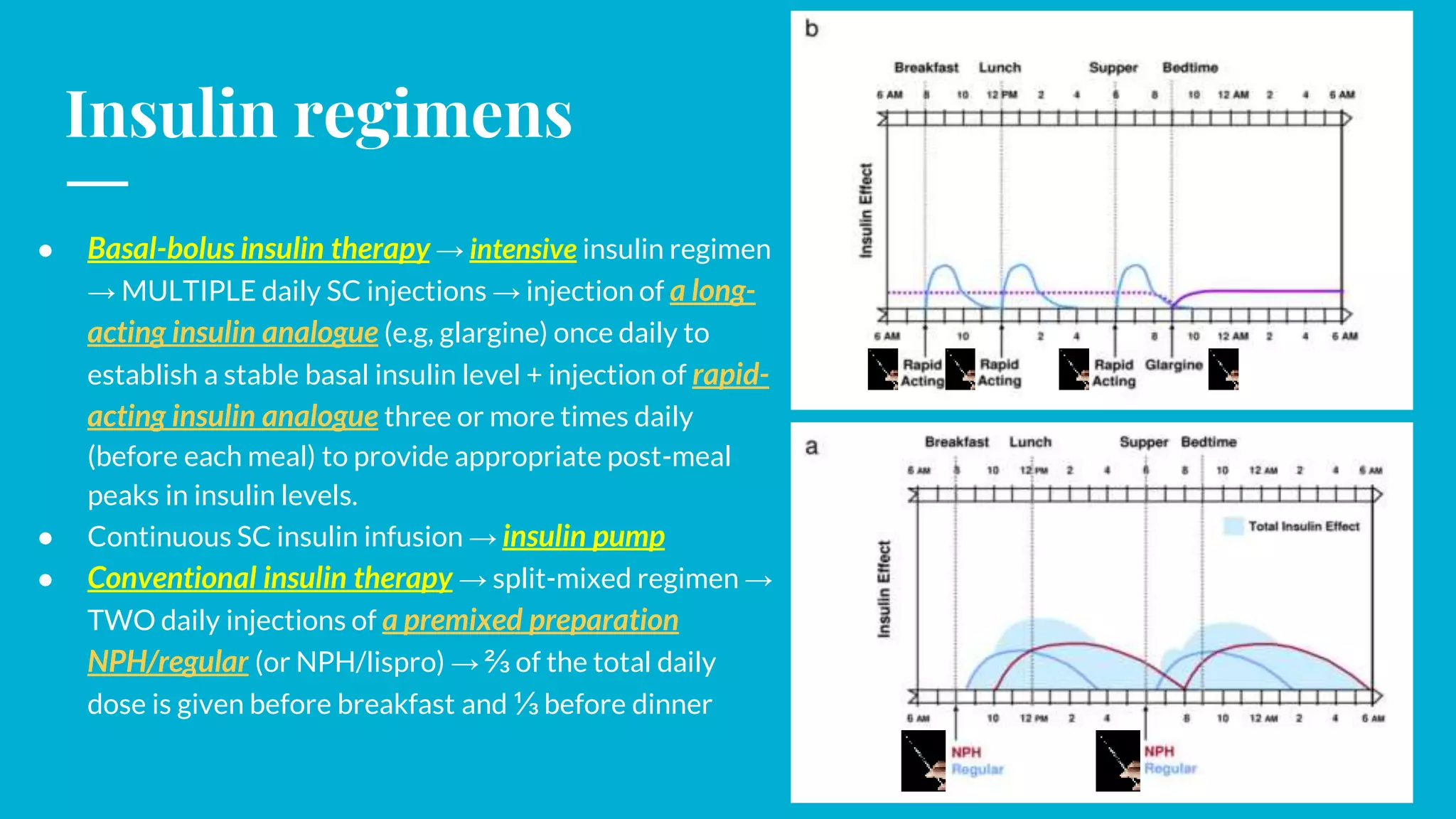 Pharmacotherapy of diabetes mellitus (DM) | PPTX
