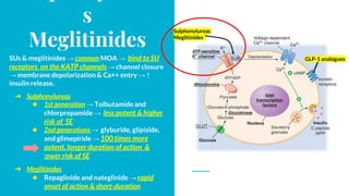 Pharmacotherapy of diabetes mellitus (DM) | PPTX