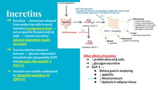 Pharmacotherapy of diabetes mellitus (DM) | PPTX