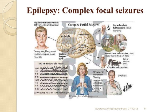 Pharmacotherapy of epilepsy | PPTX | Brain and Nervous System Disorders ...