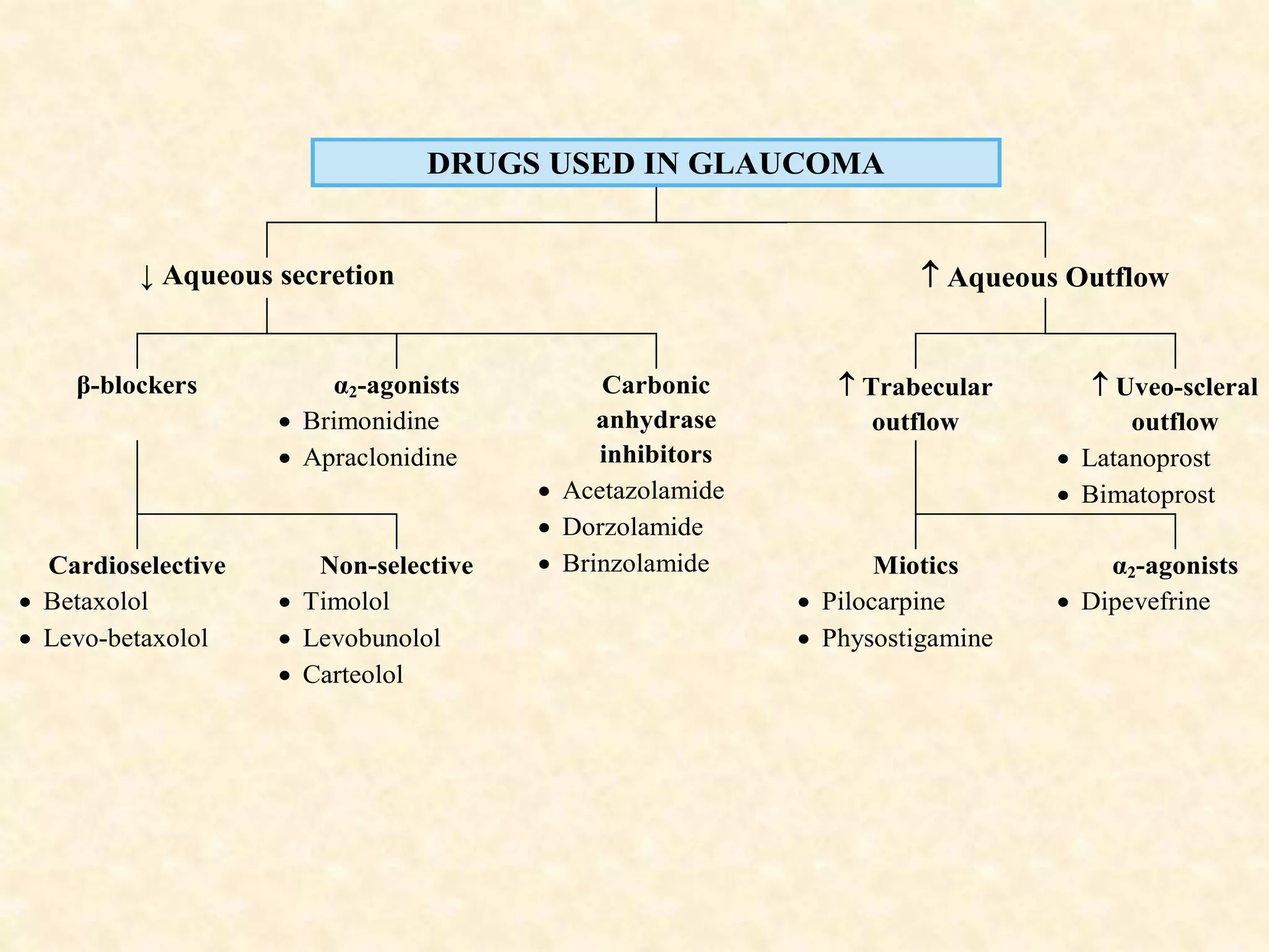 Pharmacotherapy of glaucoma | PPTX