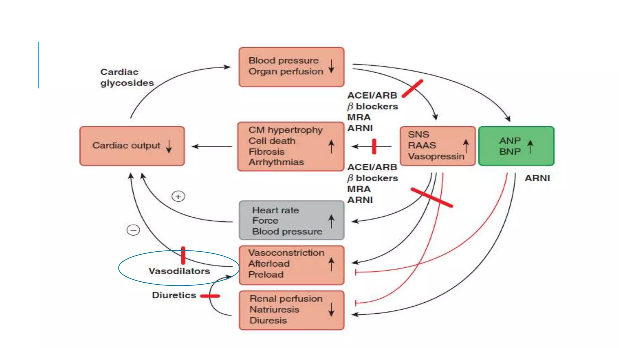 Pharmacotherapy of heart failure | PPTX