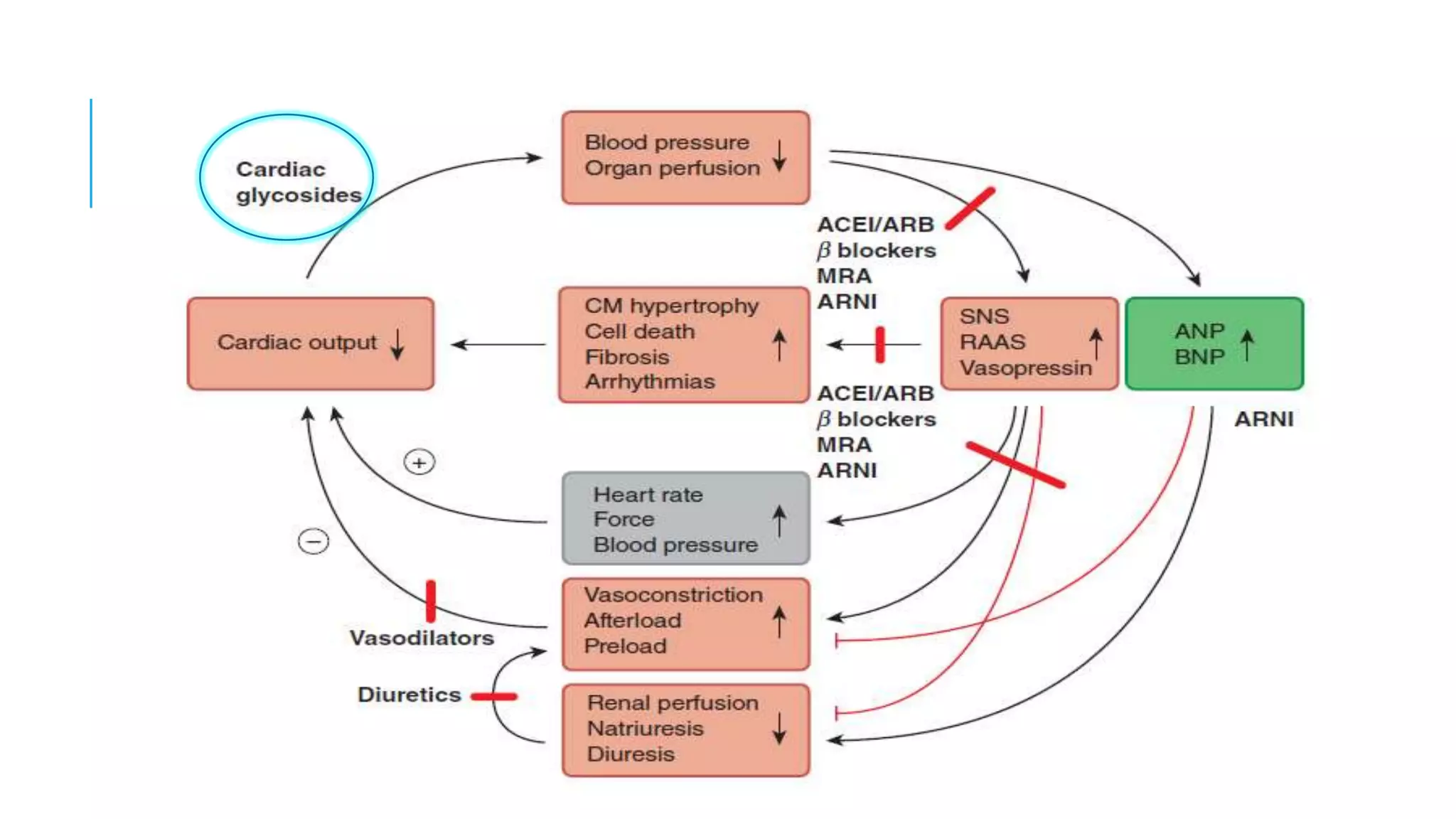 Pharmacotherapy of heart failure | PPTX