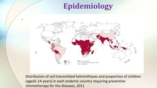 Pharmacotherapy of helminthic infections ashraf | PPT