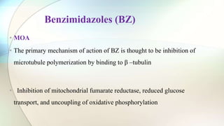 Pharmacotherapy of helminthic infections ashraf | PPT