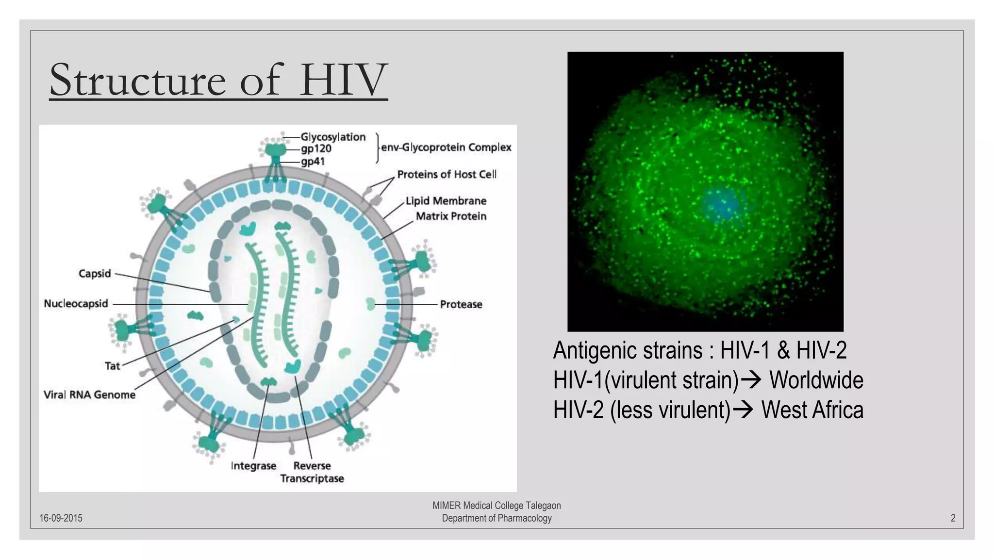 Pharmacotherapy of HIV | PPTX