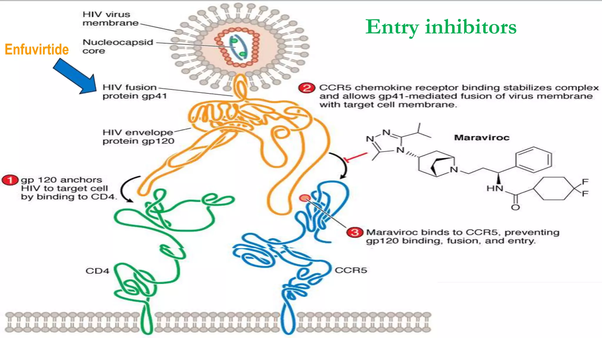 Pharmacotherapy of HIV | PPTX