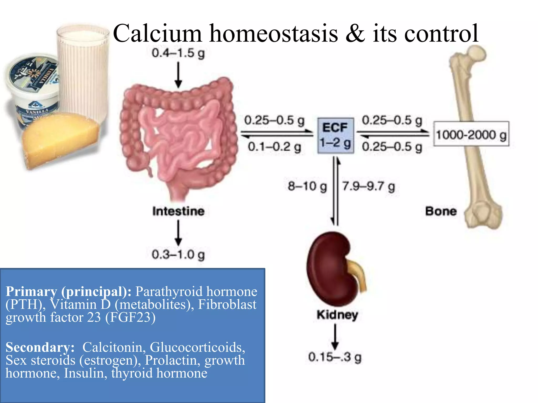 Pharmacotherapy of osteoporosis | PPTX