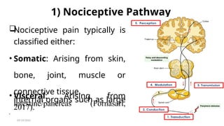 Pharmacotherapy of pain and classification | PPTX